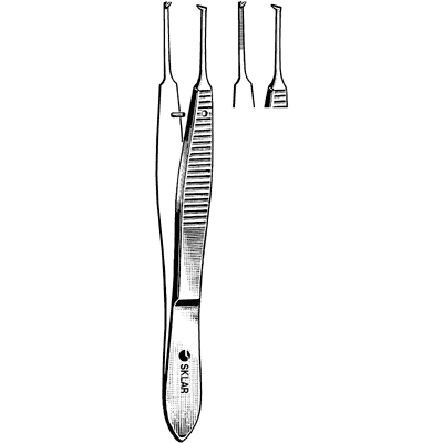 Von Graefe Iris Forceps 2 3/4" - 66-4526 - Each - Surgical Instruments ...