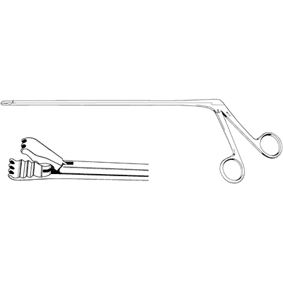 Baron Alligator Grasping Forceps 10" - 80-1940 - Each - Surgical ...